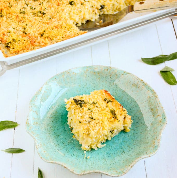 Quinoa Mac + Cheese - Blissful Basil